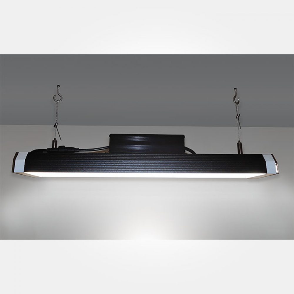 LEDLBAY50 - ETERNA LIGHTING