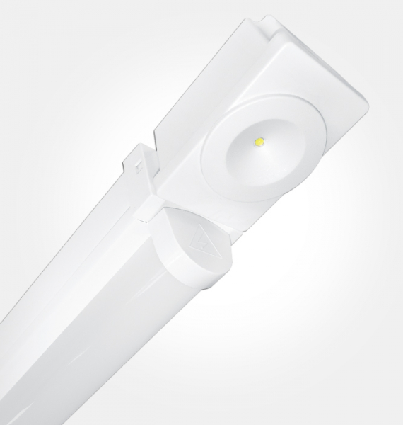 ETERNA LIGHTING – Everyday Lighting For Professionals